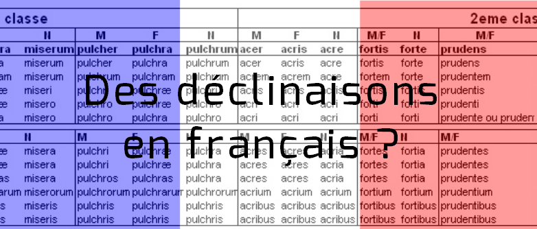 Oui, le français a des déclinaisons - Wynguist